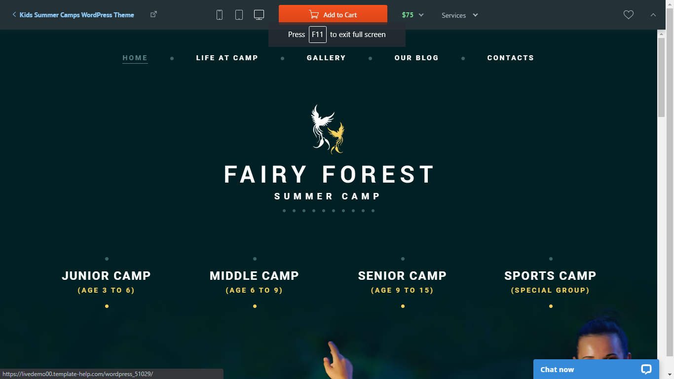 Top 10 Summer Camp Themes For WordPress [Recommended]